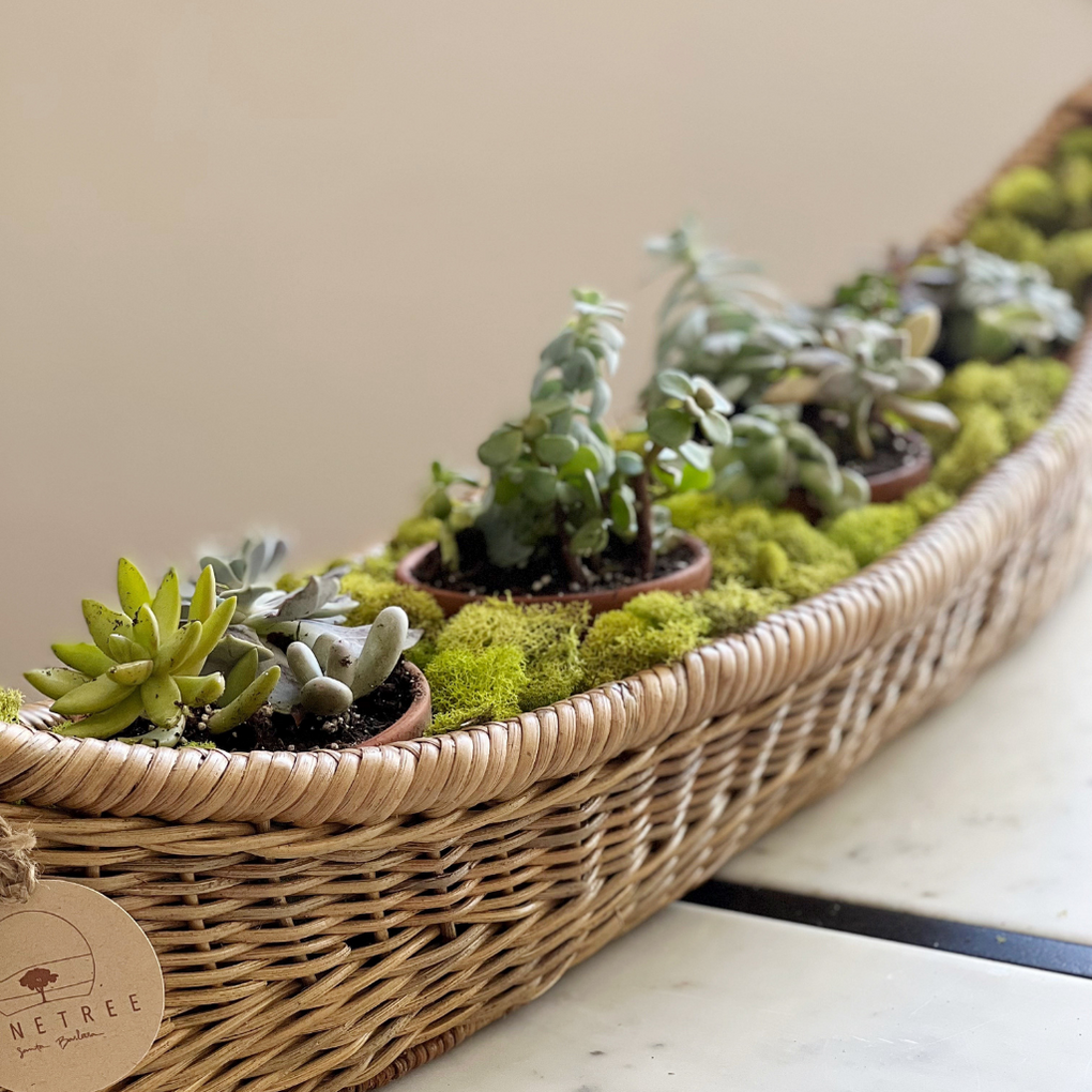 Baskets – Lonetree Santa Barbara